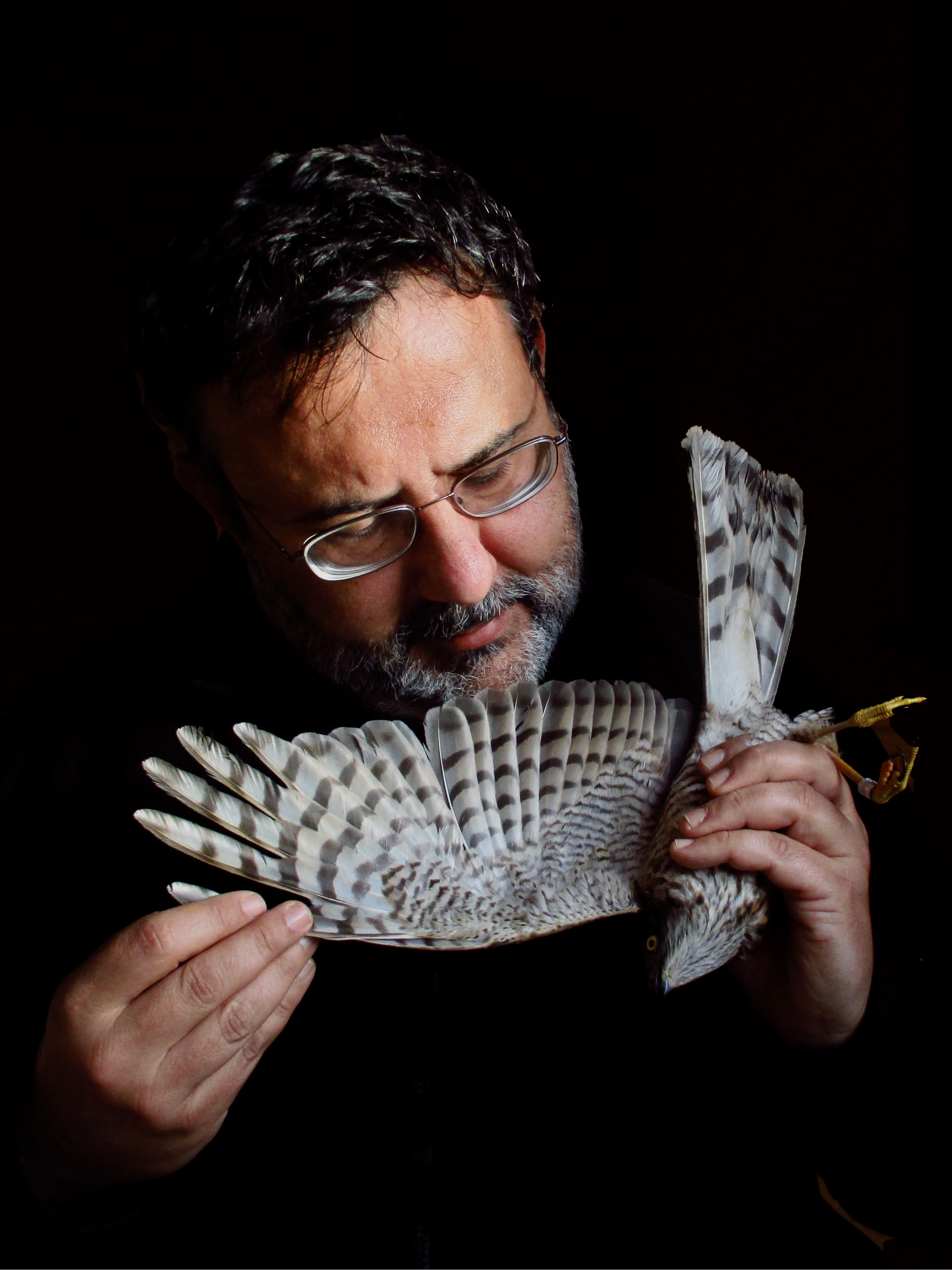 Macroecology & Conservation